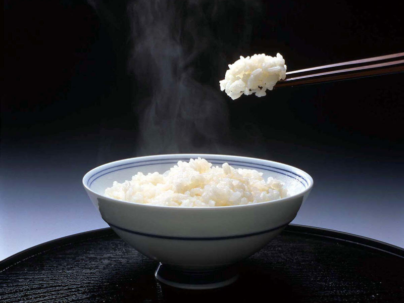 Rice Cooker SR-PGC54/SR-PGC54A｜SUZUMO